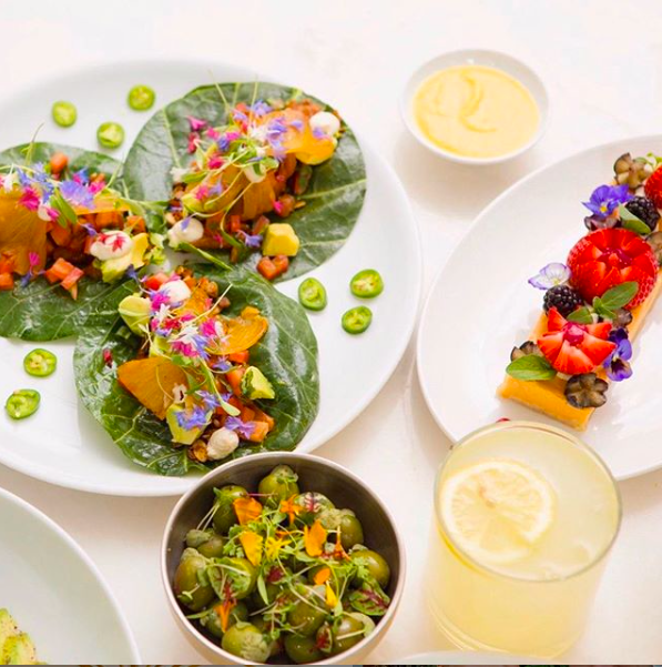 PLANT MIAMI : Gem & Bolt – Mezcal + Damiana